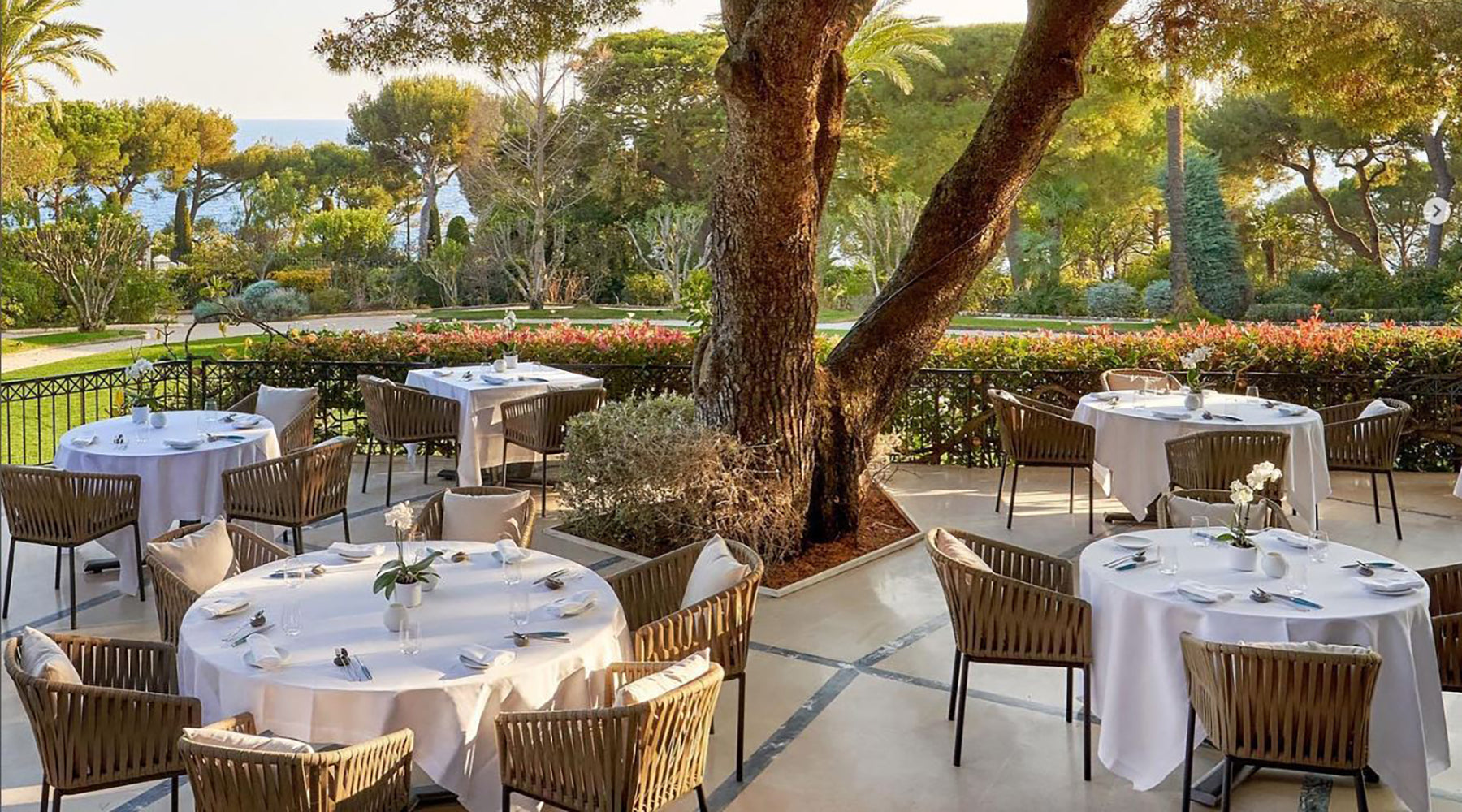 sknife with star chef Yoric Tièche* on the Côte d'Azur